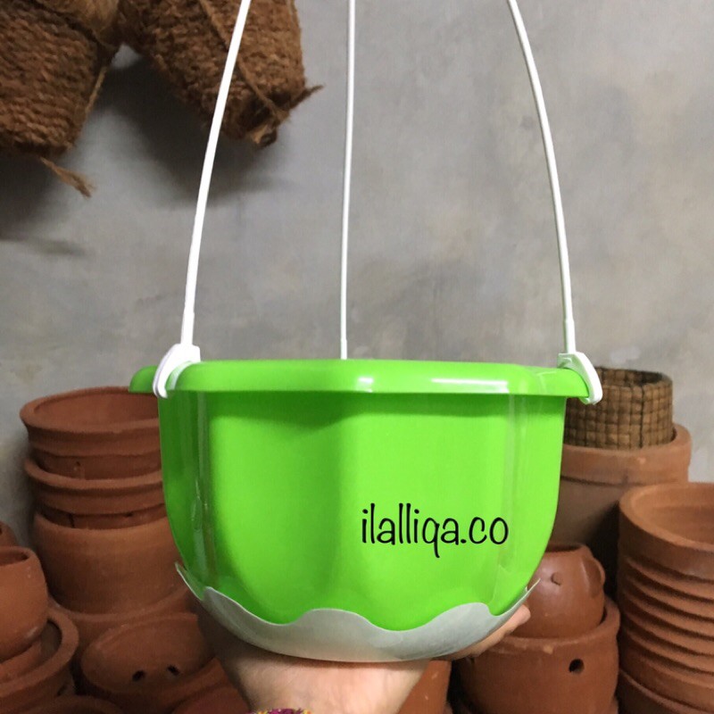 Jual POT gantung leony hijau 20 tatakan putih | Shopee Indonesia