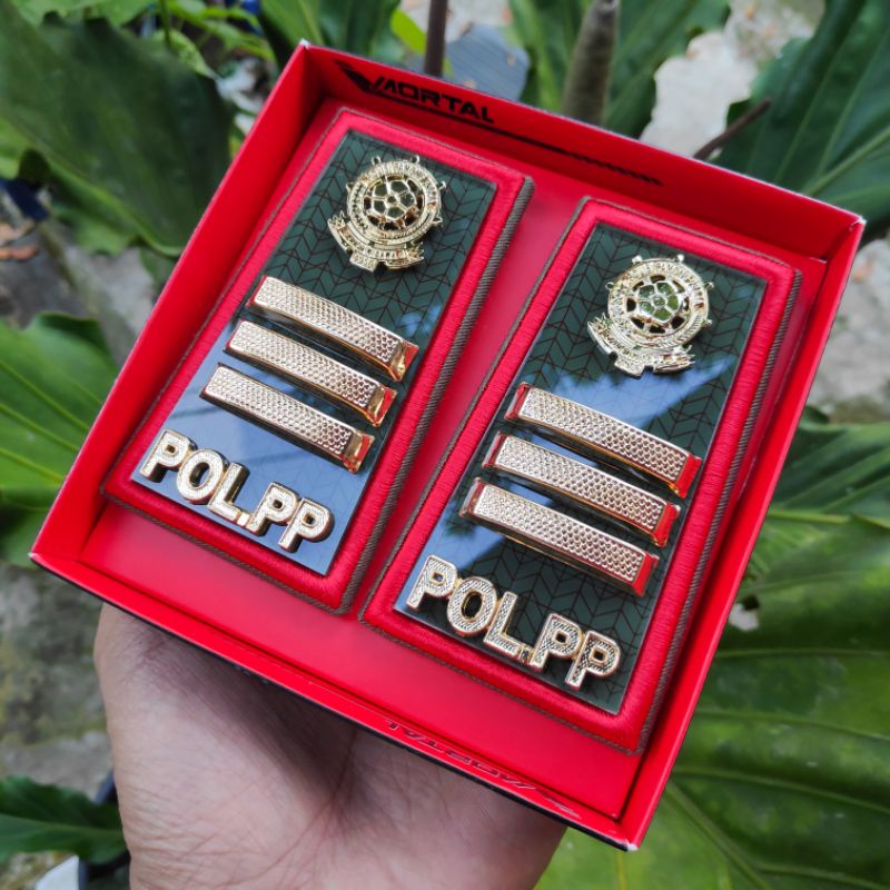 Jual Pangkat satpol pp 3c logo besar - pangkat polpp 3c | Shopee Indonesia