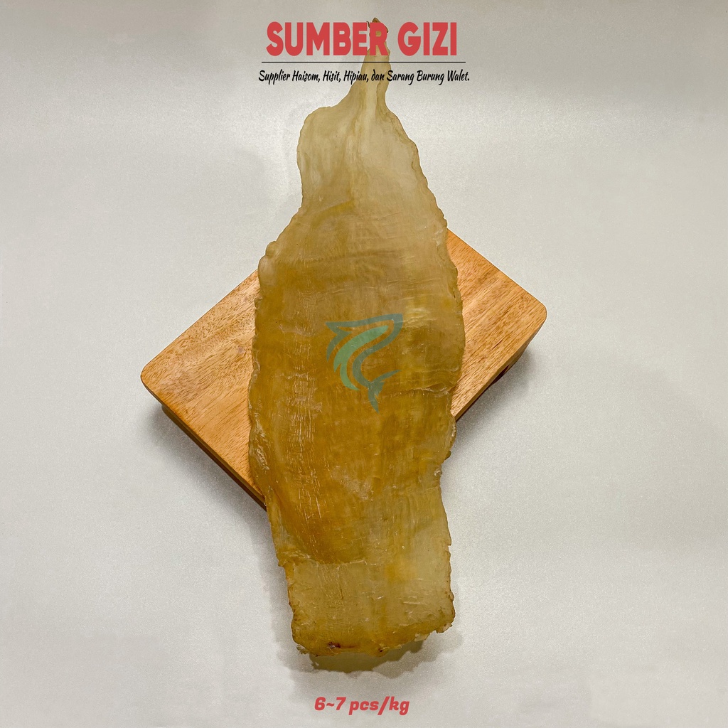 Jual YI PHIAU HIPIAU HIPIO PERUT IKAN RAMPAI BESAR/ GELEMBUNG IKAN KURO ...