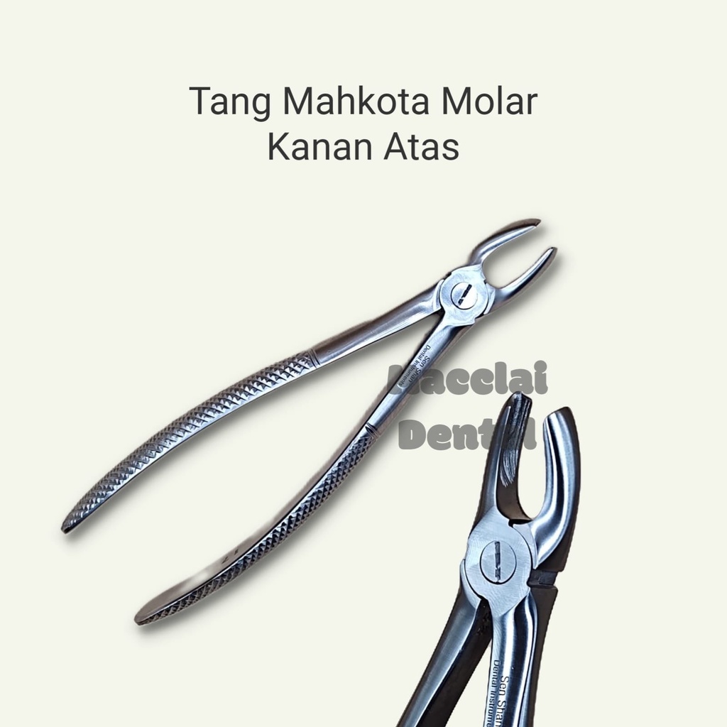 Jual DENTAL TANG CABUT GIGI DEWASA ECER / PER PCS TOOTH FORCEP SATUAN ...