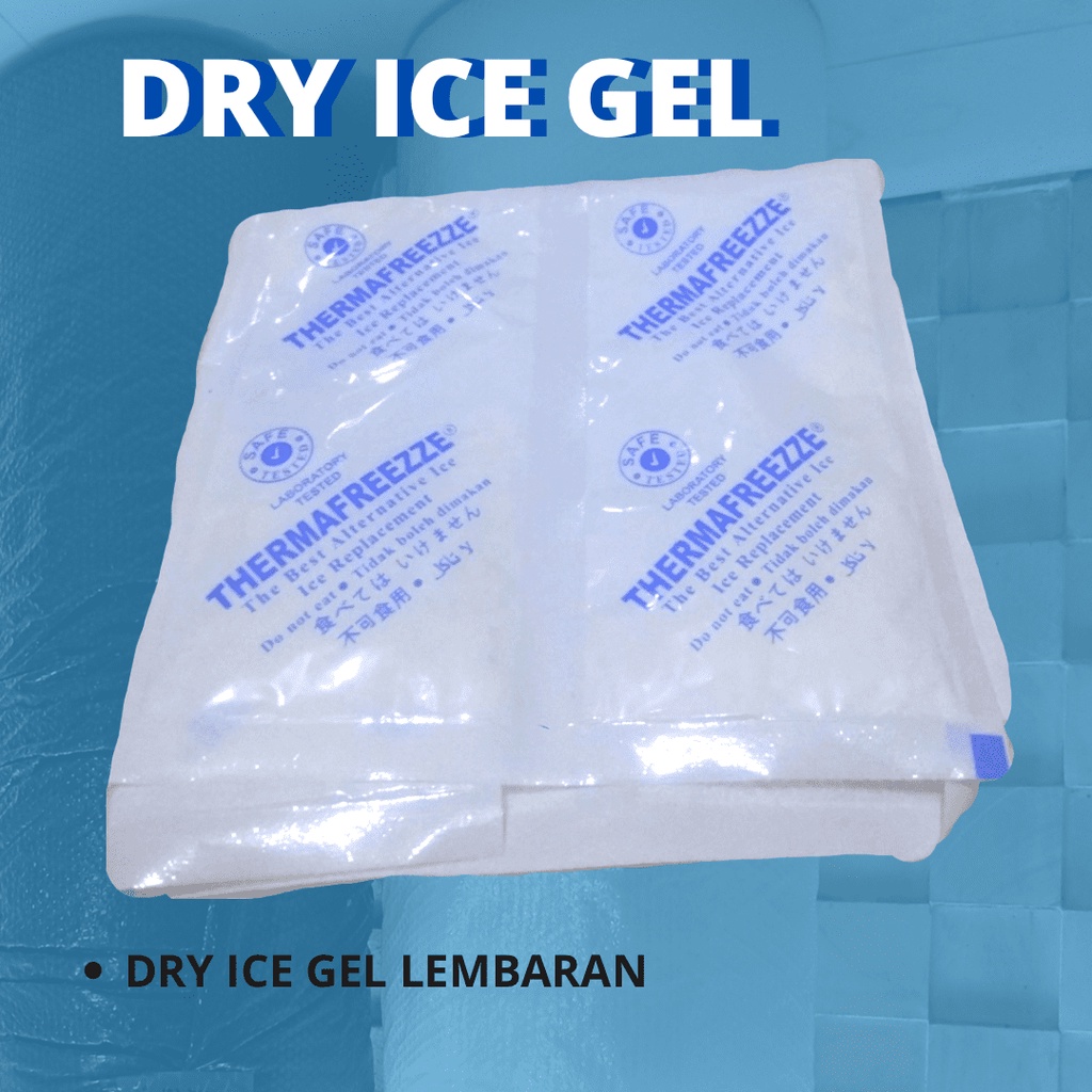 Jual ICE GEL Lembaran Pengganti Es Batu | Shopee Indonesia