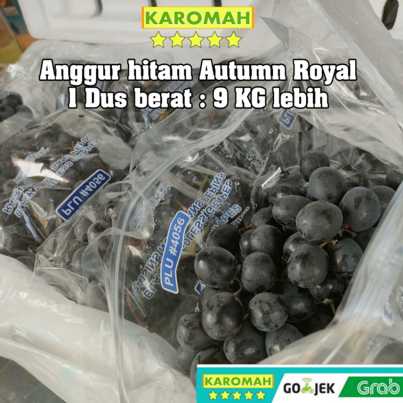 Jual BUAH ANGGUR AUTUMN 1 DUS BERAT 9 KG / buah anggur hitam autumn ...