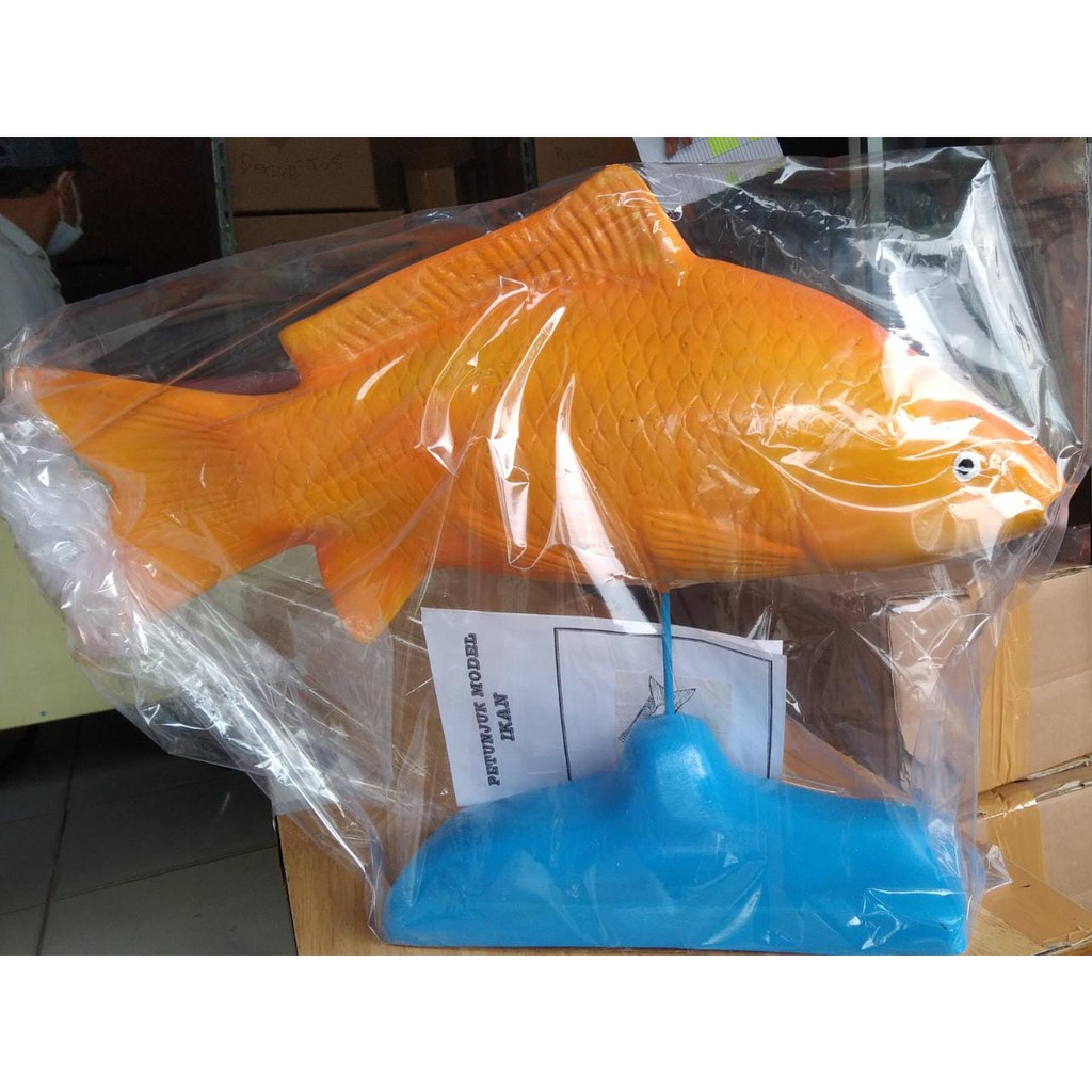 Jual MODEL PERAGA PENDIDIKAN KODOK / KATAK, IKAN, FIGURA AYAM | Shopee ...
