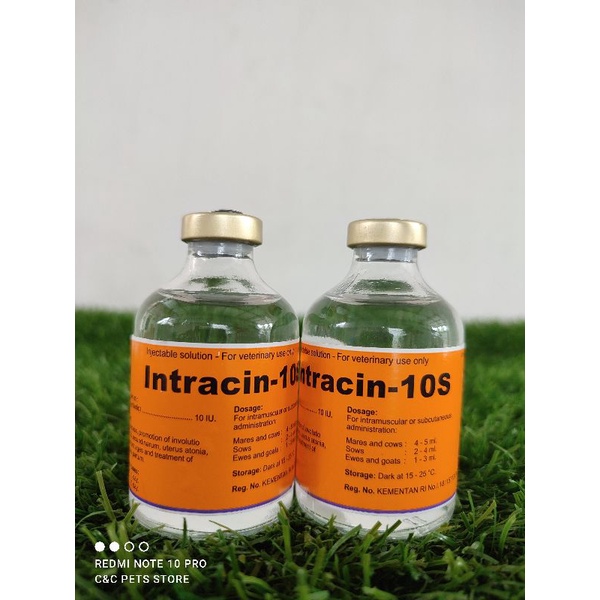 Jual Intracin 10S Injeksi 50 ml (Oxytocin) | Shopee Indonesia