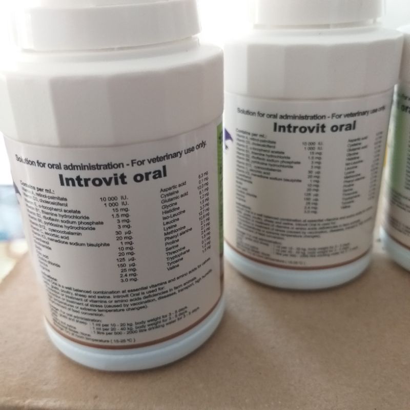 Jual introvit oral 100 ml multivitamin dan asam amino ternak | Shopee Indonesia