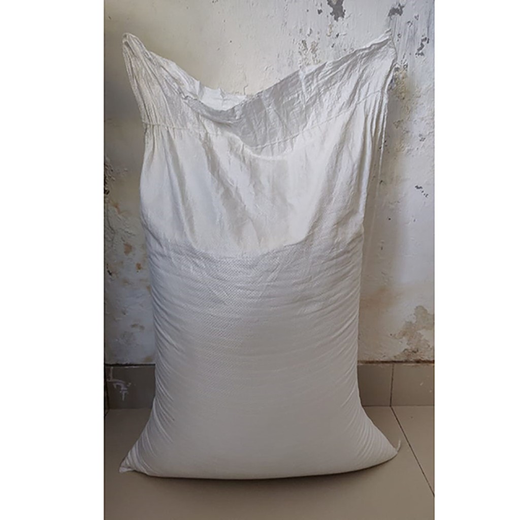 Jual GOLDEN EAGLE Tepung Semolina 1 x 25 KG KEMASAN POLOS | Shopee ...