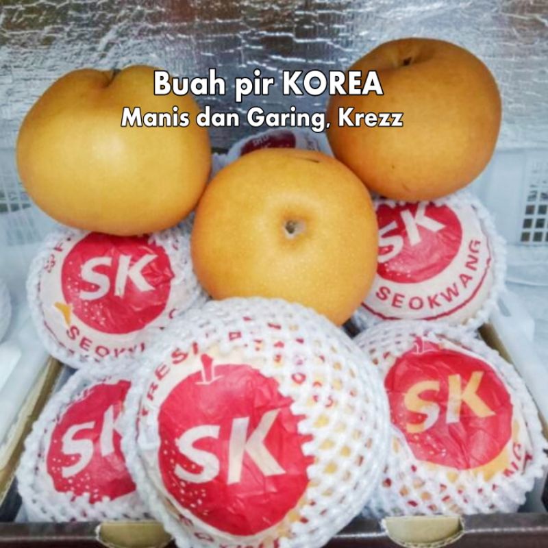 Jual Buah pir madu korea 1 Buah yang Manis dan Garing buah kurma ...