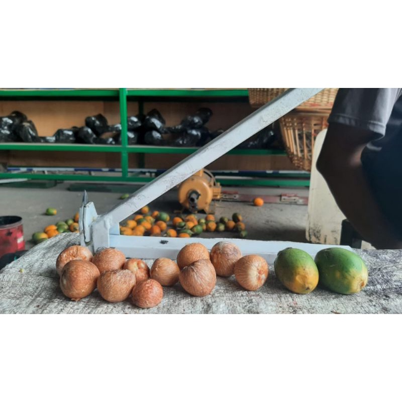 Jual Alat Pengupas Kulit Pinang Bulat/Alat Pembuka Kulit Pinang/panen ...
