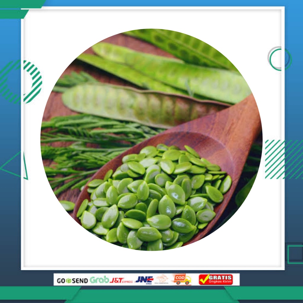 Jual Petai cina pete cina 10papan(pcs) | Shopee Indonesia