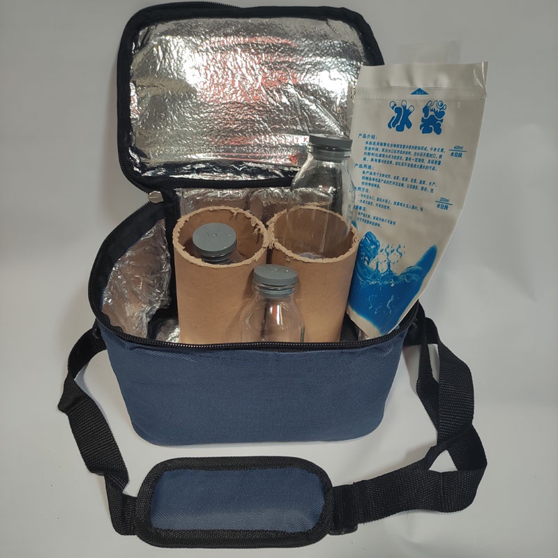 Jual Tas pendingin / Cooler Bag Perlengkapan Botol susu bayi / PAKET ...