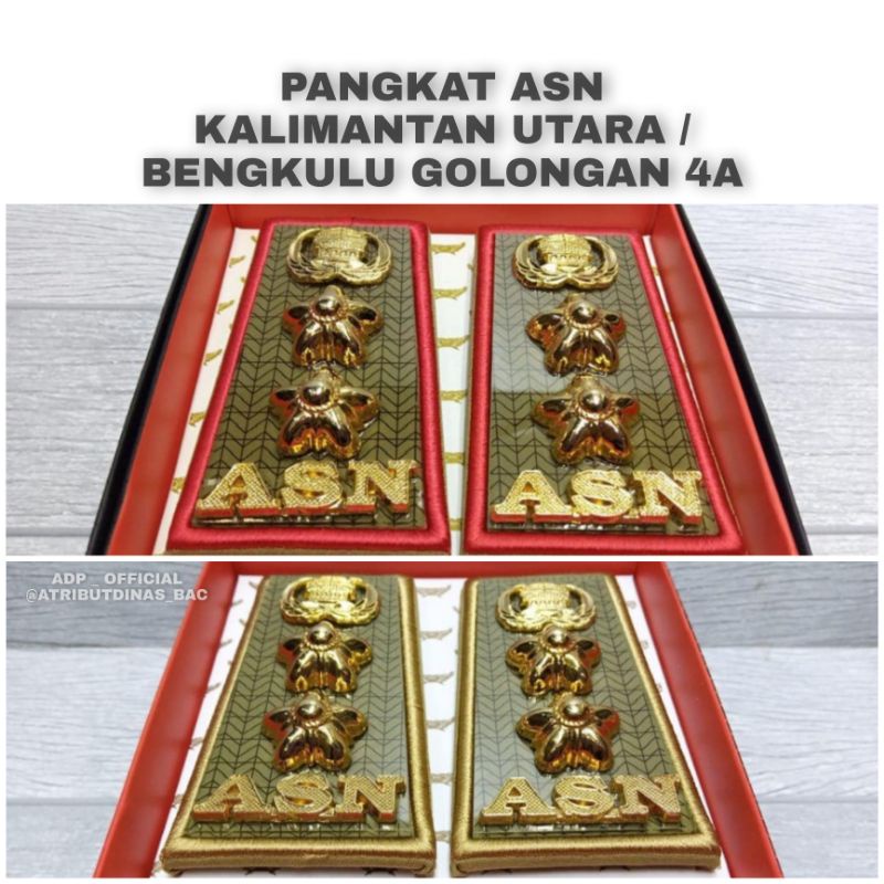 Jual PANGKAT ASN KALIMANTAN - PANGKAT ASN BENGKULU GOLONGAN 4A KUALITAS ...