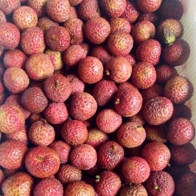 Jual LECI MADU IMPORT 1KG | Shopee Indonesia