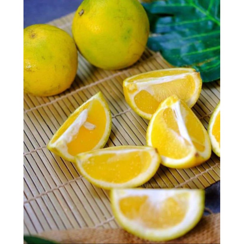 Jual JERUK BABY / JERUK IRIS / JERUK PERAS MALANG FRESH 1 KG | Shopee ...