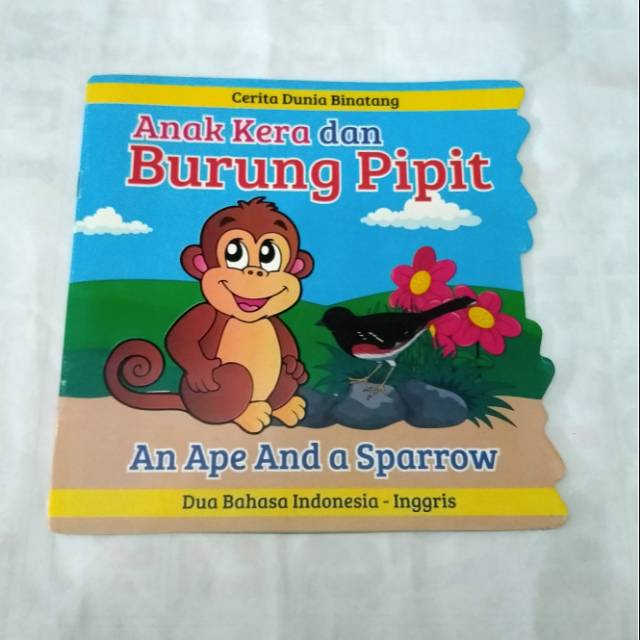 Jual Anak kera dan burung pipit | Shopee Indonesia