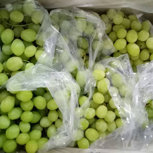 Jual Anggur Prime Afrika 4kg | Shopee Indonesia