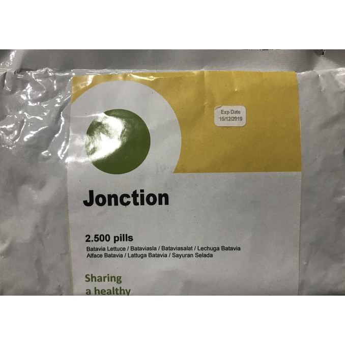 Jual LJT 1000 seed - Benih Jonction RZ Batavia Lettuce Jonction Rijk ...