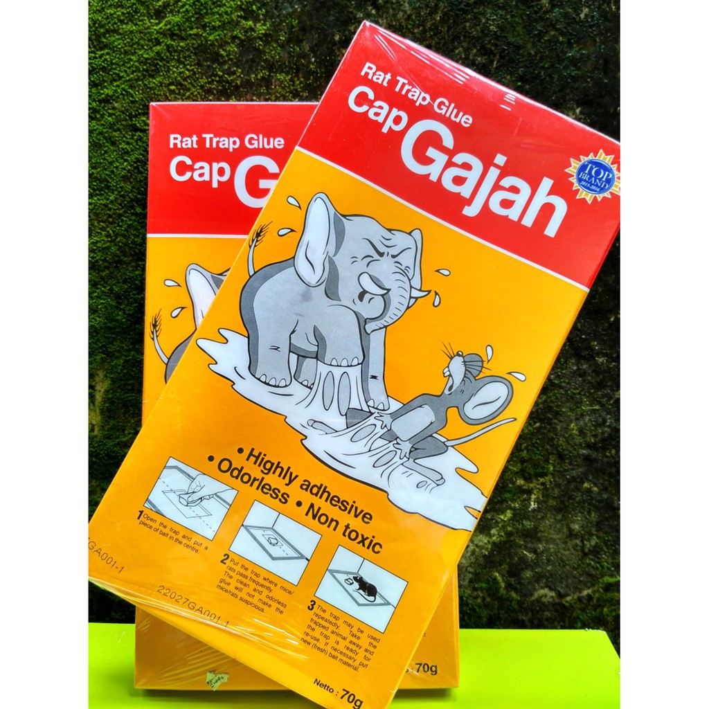 Jual LEM TRAP TIKUS (Papan) | Shopee Indonesia