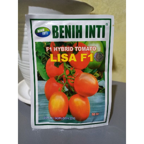 Jual Benih Bibit Tomat buah LISA F1 10gr Hibrida (Tomat indeterminate ...