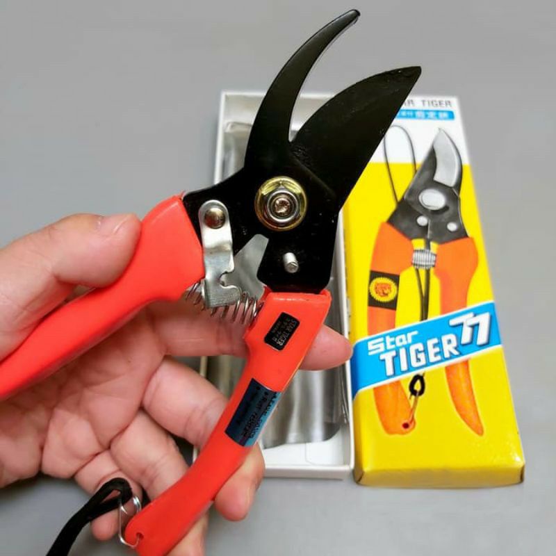 Jual Gunting TIGER 77 Gunting Tanaman Ranting Dahan Pohon Bunga TIGER ...