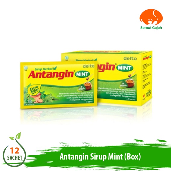 Jual Antangin Sirup Mint Box (Isi 12 Sachet) | Shopee Indonesia