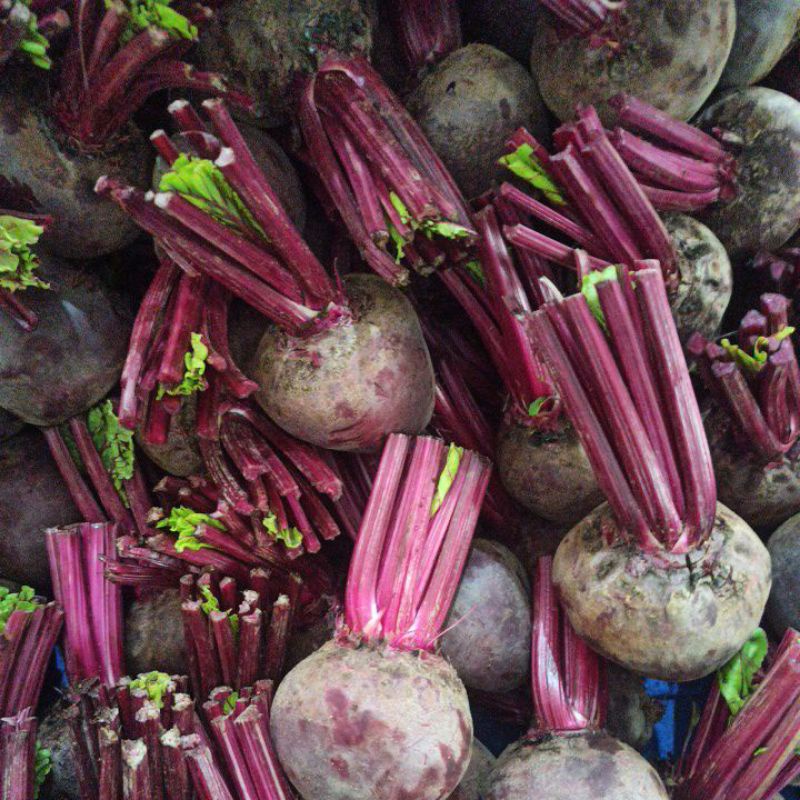 Jual Buah BIT segar 1 KG SUPER / Beet Root / Buah Bit / Herbal /Buah ...