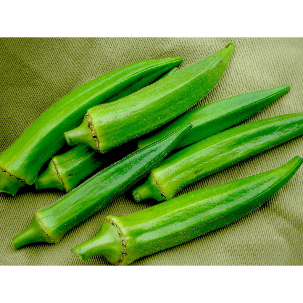 Jual Benih Okra Hijau Repacking | Shopee Indonesia