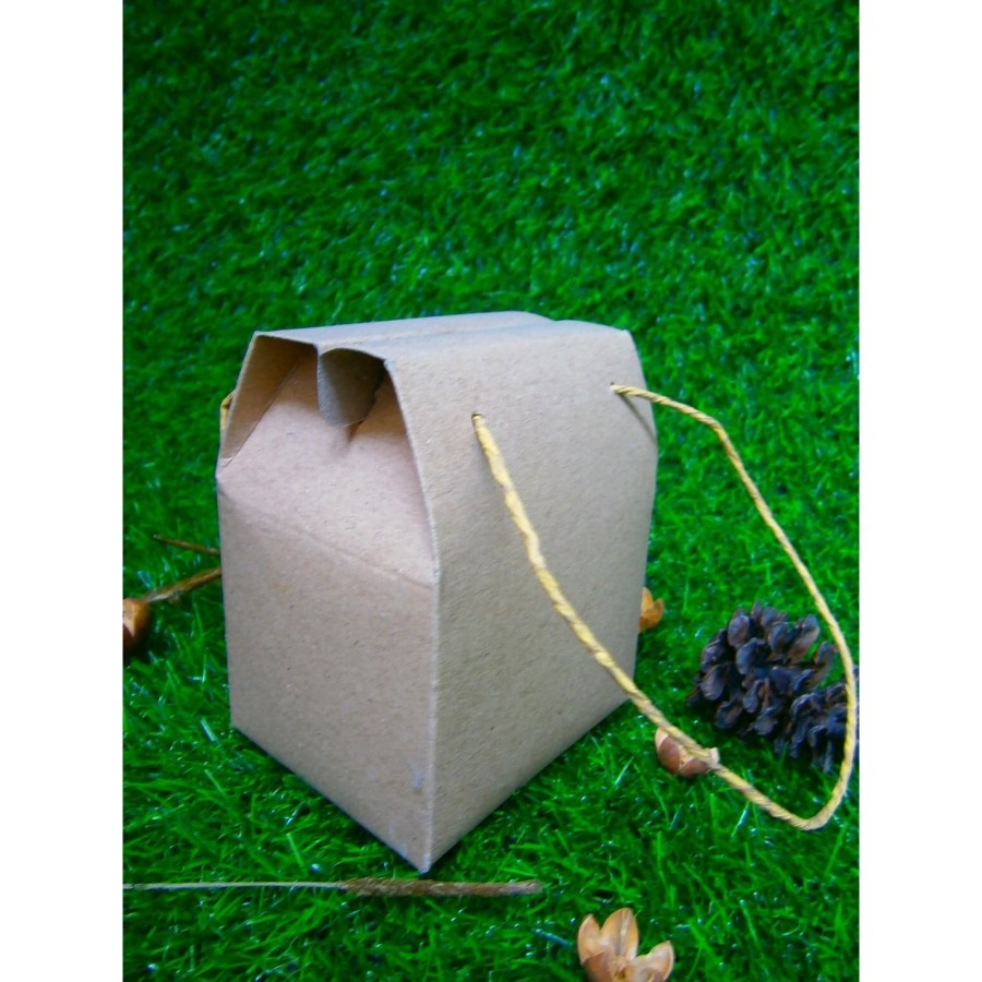 Jual tas box tenteng kardus jinjing dus hampers gift box packaging ...