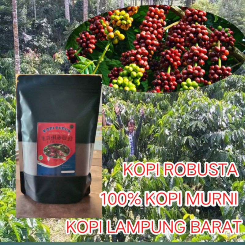 Jual KOPI ROBUSTA LAMPUNG 500gr Premium kopi murni | Shopee Indonesia