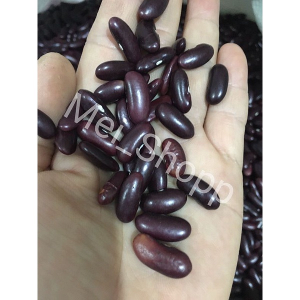 Jual KACANG MERAH BIJI BESAR PREMIUM KWALITAS SUPER MALAYSIA 500 GRAM ...