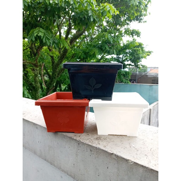 Jual Pot kotak putih no 20, pot kotak 14 cm, pot adenium, bonsai ...