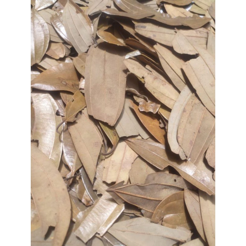 Jual Daun Kayu Manis 100gr/500gr | Shopee Indonesia