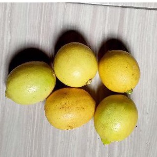 Jual Jeruk Lemon lokal 1 kg mirip lemon california lemon segar di petik ...