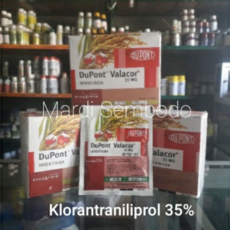 Jual Insektisida Dupont VALACOR 35 WG Klorantraniliprol 35% Rancun ulat ...