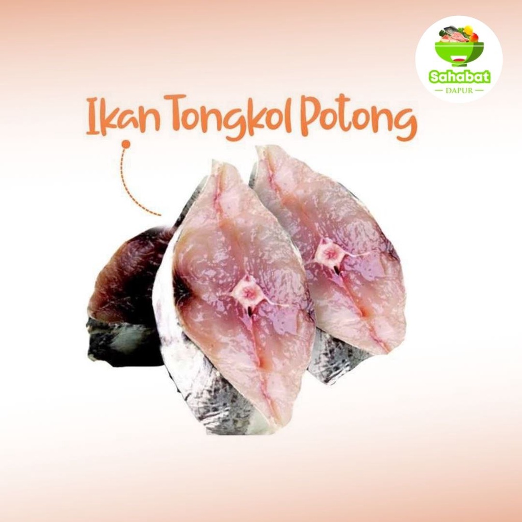 Jual Ikan Tongkol Segar/Ikan Tongkol Potong Steak 500gram ...