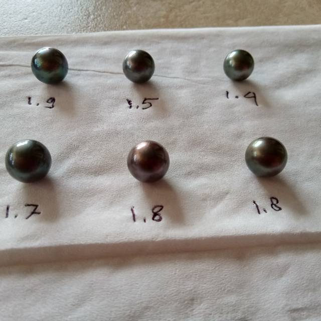Jual Mutiara air laut black pearl | Shopee Indonesia