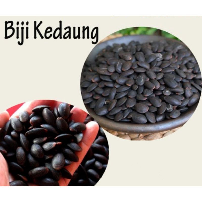 Jual Biji Kedaung | Shopee Indonesia