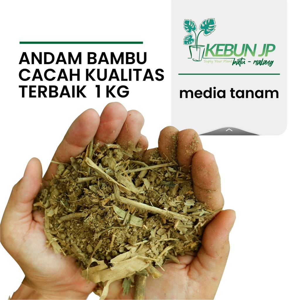 Jual Metan Kualitas Terbaik / Andam Bambu / Daun Bambu Kering Cacah ...