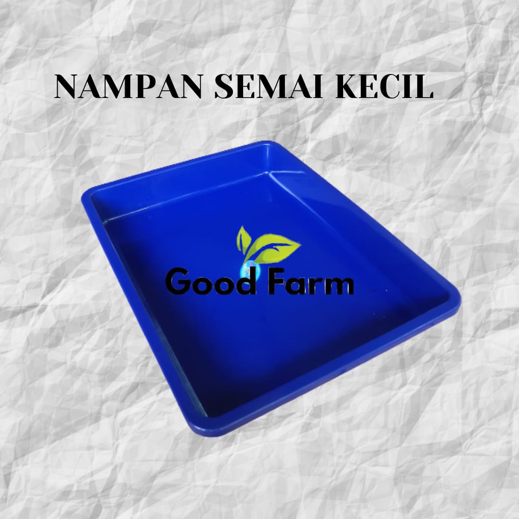 Jual NAMPAN SEMAI UKURAN KECIL // NAMPAN SERBAGUNA // HIDROPONIK ...