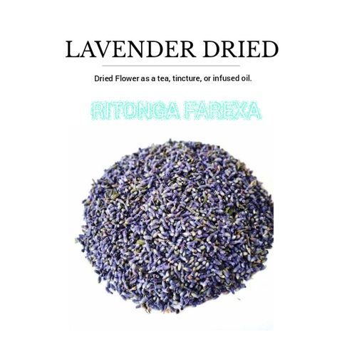 Jual Dried Lavender Flower Tea 1 KG / Teh Bunga Lavender Kering ...