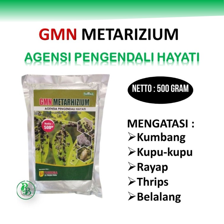 Jual Pengendali Hama METARHIZIUM Terbaik, Agensia Pembasmi Kaper ...