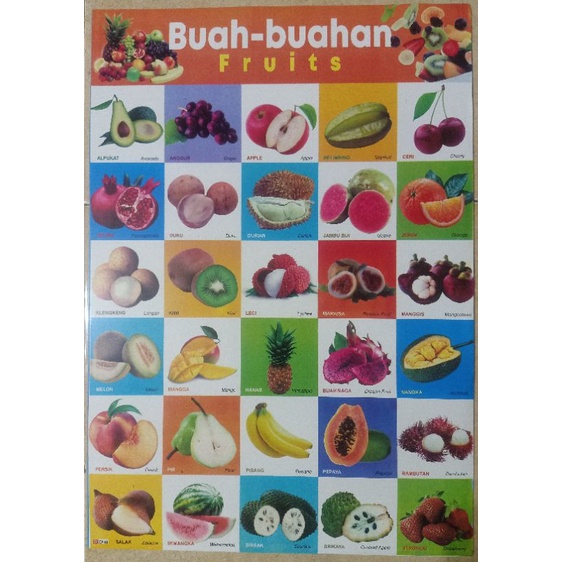 Jual poster edukasi anak mengenal sayuran dan buah (bahasa Indonesia ...