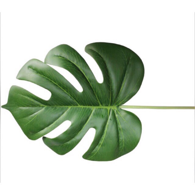 Jual Daun monstera artificial tebal tinggi | Shopee Indonesia