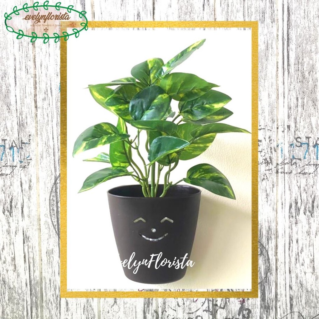 Jual Pohon Daun Sri Gading Semi Latex Artificial Pot Gantung Dinding ...