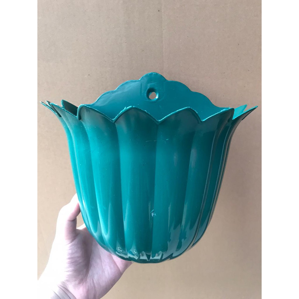 Jual Pot Tembok 25 (D=22cm) CACAT WARNA Tanaman Hias Dinding Tempel ...