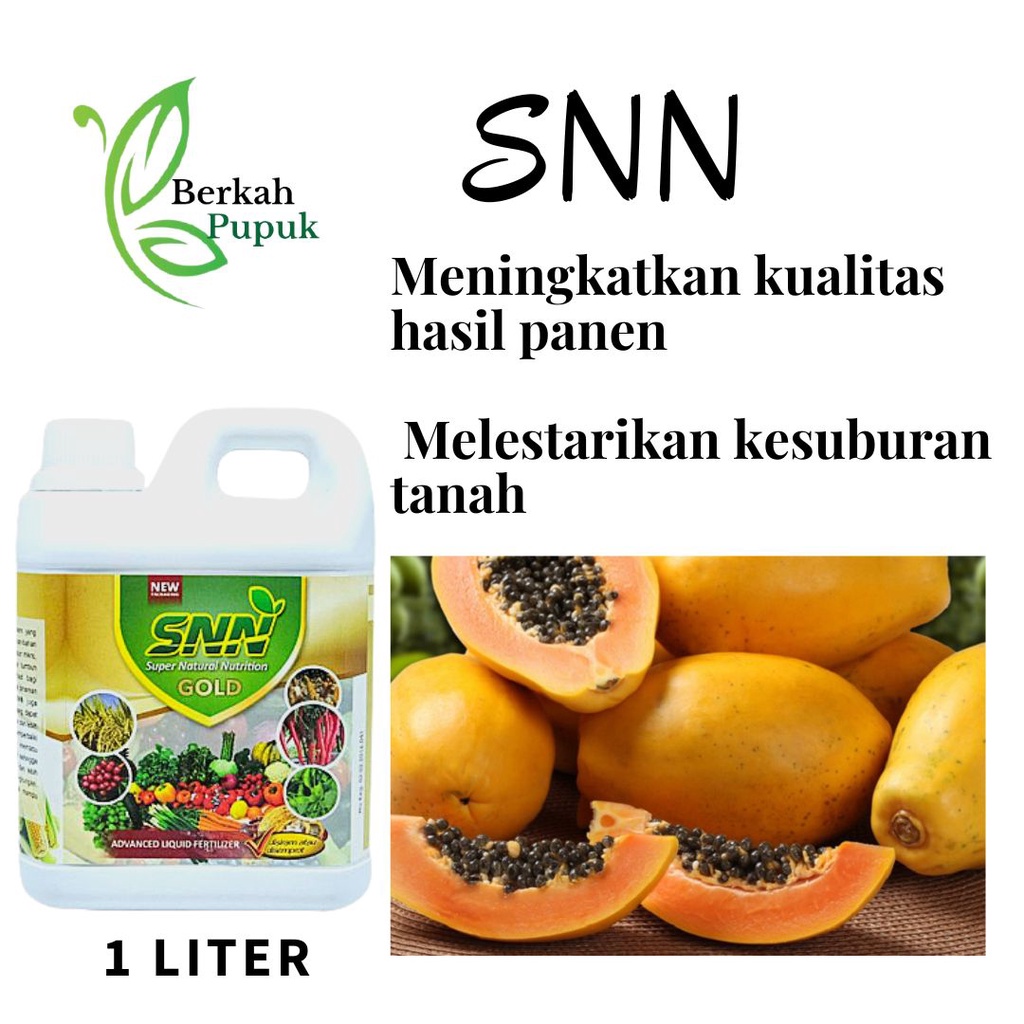 Jual Pupuk Pembesar Buah Pepaya, Pupuk Pepaya Agar Cepat Berbuah Lebat, Pupuk Organik Cair SNN 1 ...