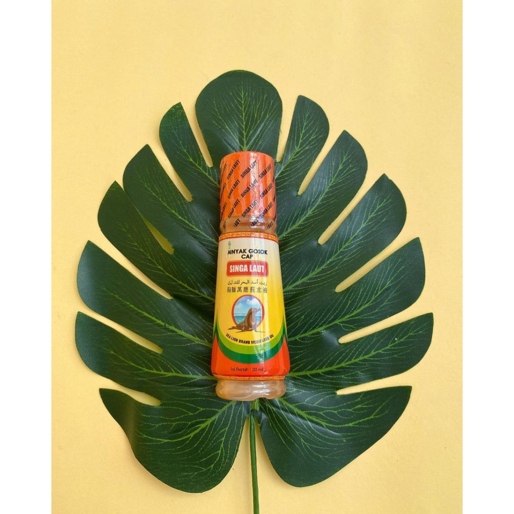 Jual Cap Singa Laut 30 ml Minyak Gosok Khas Makassar | Shopee Indonesia