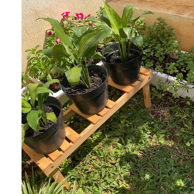 Jual STANDING POT / RAK BUNGA WOODEN / RAK BUNGA KAYU MINIMALIS / RAK ...
