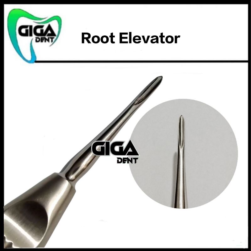 Jual BEIN ROOT ELEVATOR LUXATOR ( RUNCING ) | Shopee Indonesia