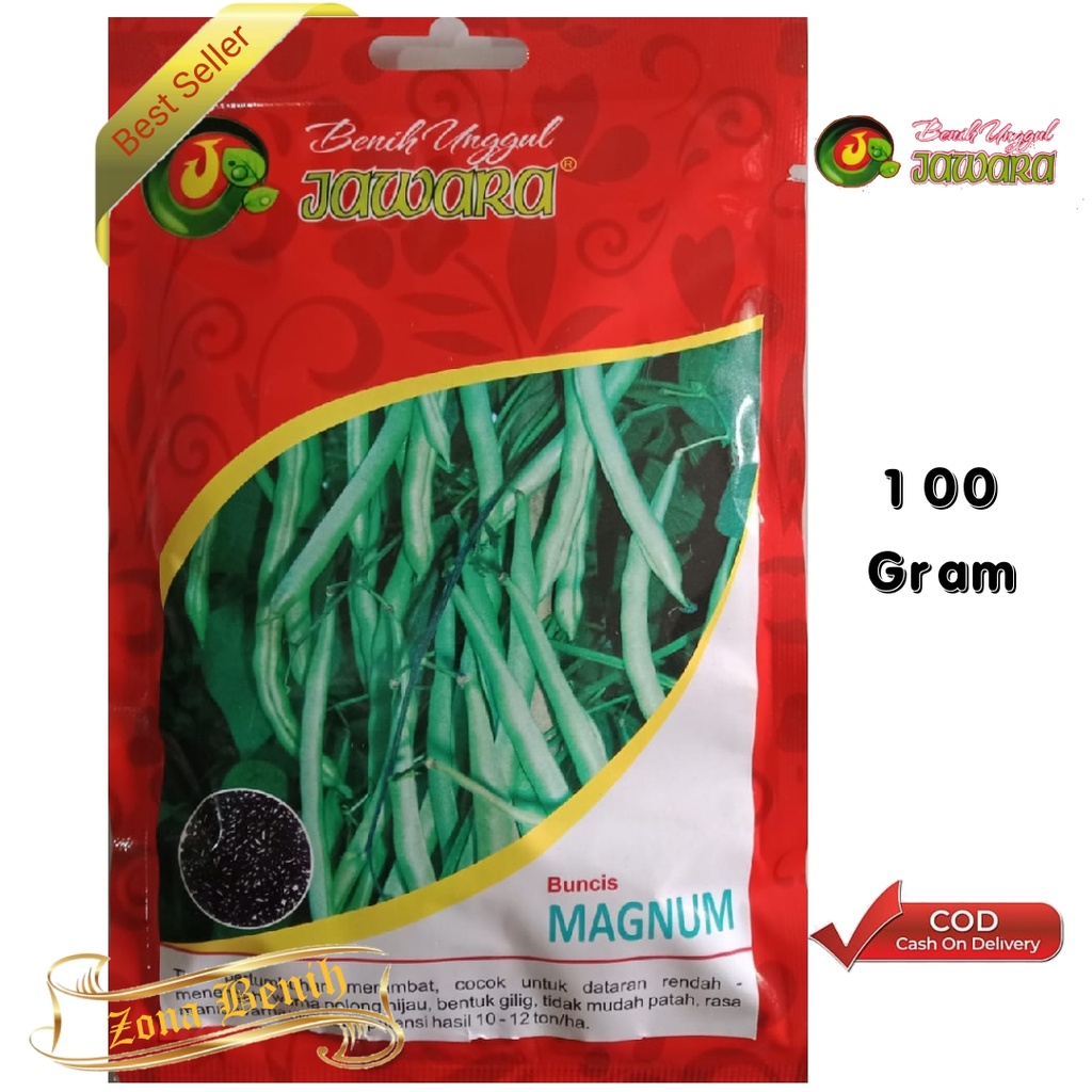 Jual Isi 100 Gram Bibit Buncis MAGNUM | Benih Buncis Biji Hitam | Bibit ...