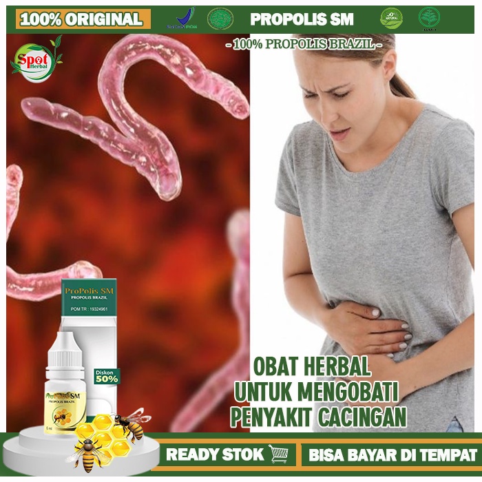 Jual Obat Cacingan, Obat Cacing untuk Orang Dewasa, Lansia & Anak-Anak ...